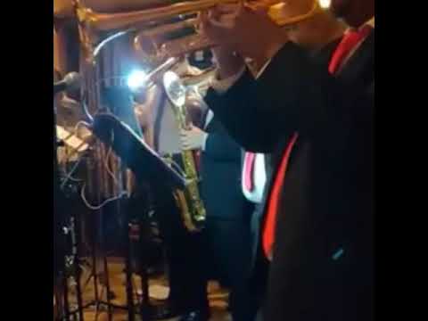 Hire Orquesta Yanikeke - Latin Band in Bloomfield, NJ | GigSalad