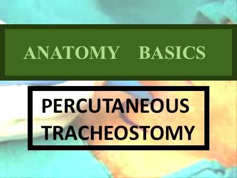 Anatomy Basics of Percutaneous Tracheostomy