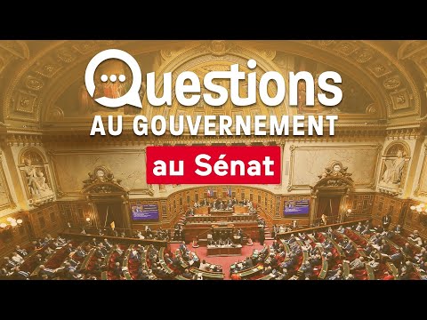 #DirectSénat 🔴 Suivez en direct les questions d'actualité au gouvernement du 25 juin 2025
