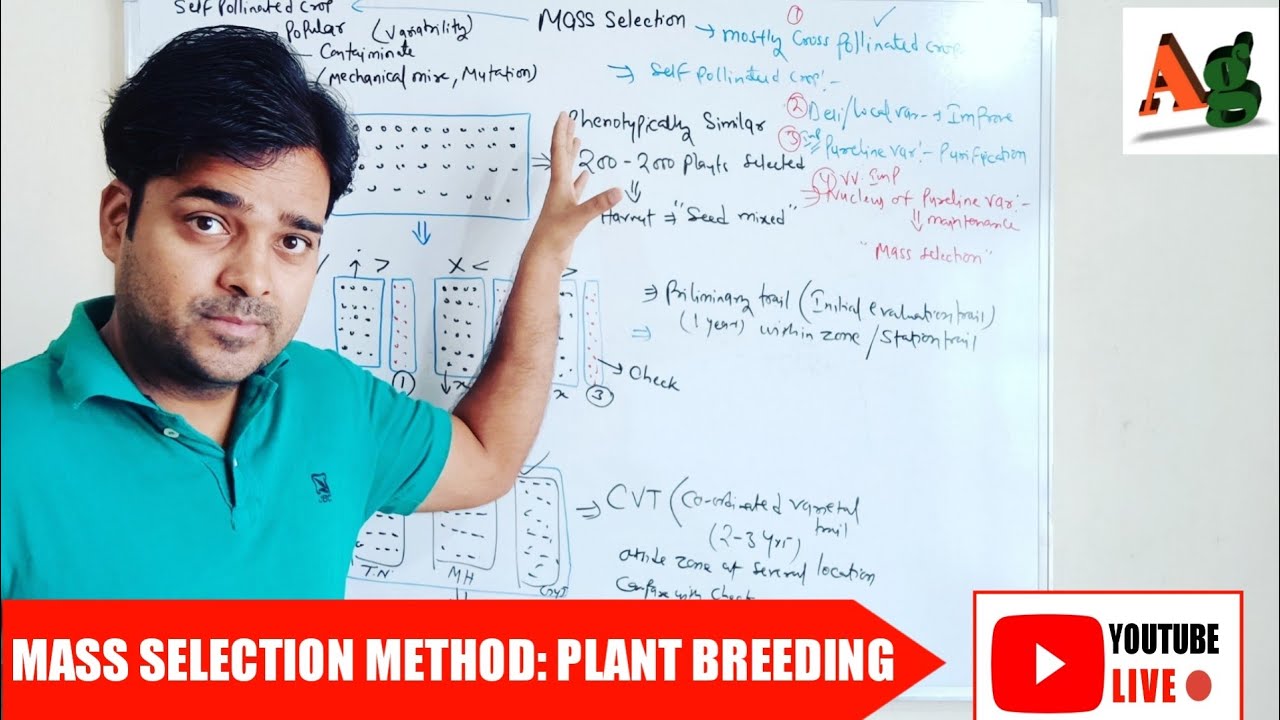 Mass Selection Method of Plant Breeding | Agriculture RS Rajput