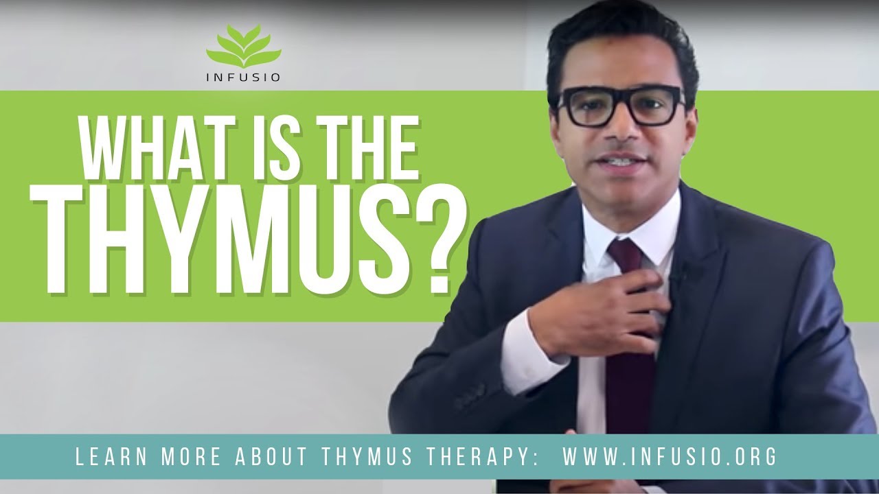 What is the Thymus and What Does it Do? | Infusio