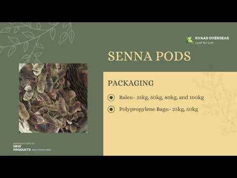 Senna Pods - Dried Senna Pods Latest Price, Manufacturers & Suppliers