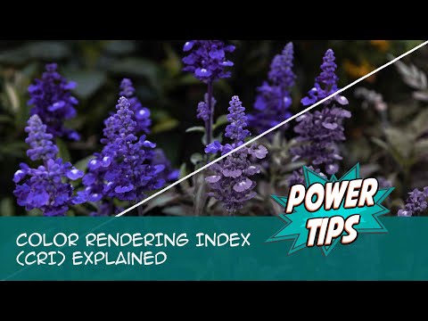 Power Tip: Color Rendering Index (CRI) Explained