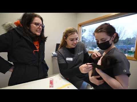 WSU's Paraprofessional Scribe Certificate Program: Insights from both sides of the exam table