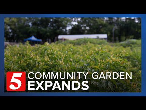 Nashville Food Project and Love, Tito's team up to expand community garden