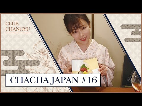 Introducing Sashimi, Japanese raw fish😊 Japanese Kaiseki food | ChaChaJapan