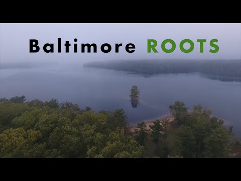 Baltimore Roots: How Tree-Planting is Combating Inequity
