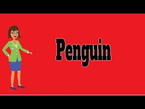 Penguin | Pronunciation | Meanings | Examples | Definition | Animals Name
