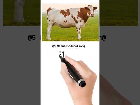 Cow bengali meaning#shorts#english learning#Cow spelling#