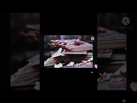 Books lovers dpz wallpapers WhatsApp status||books status||#1 trending in status
