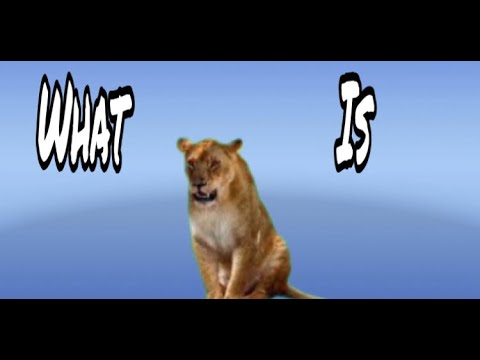 WHAT IS LIONESS?