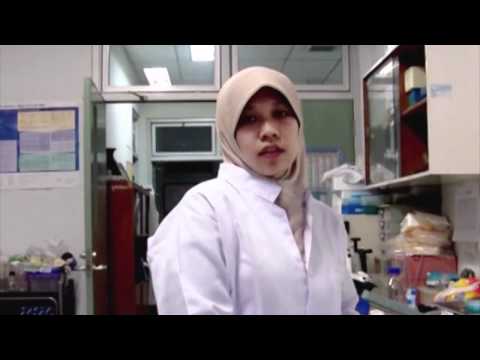 From Bandung to Lindau - Erlia's Video Diary Part I