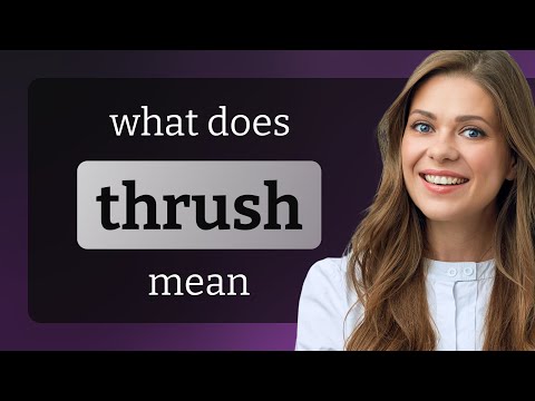 Thrush • THRUSH definition