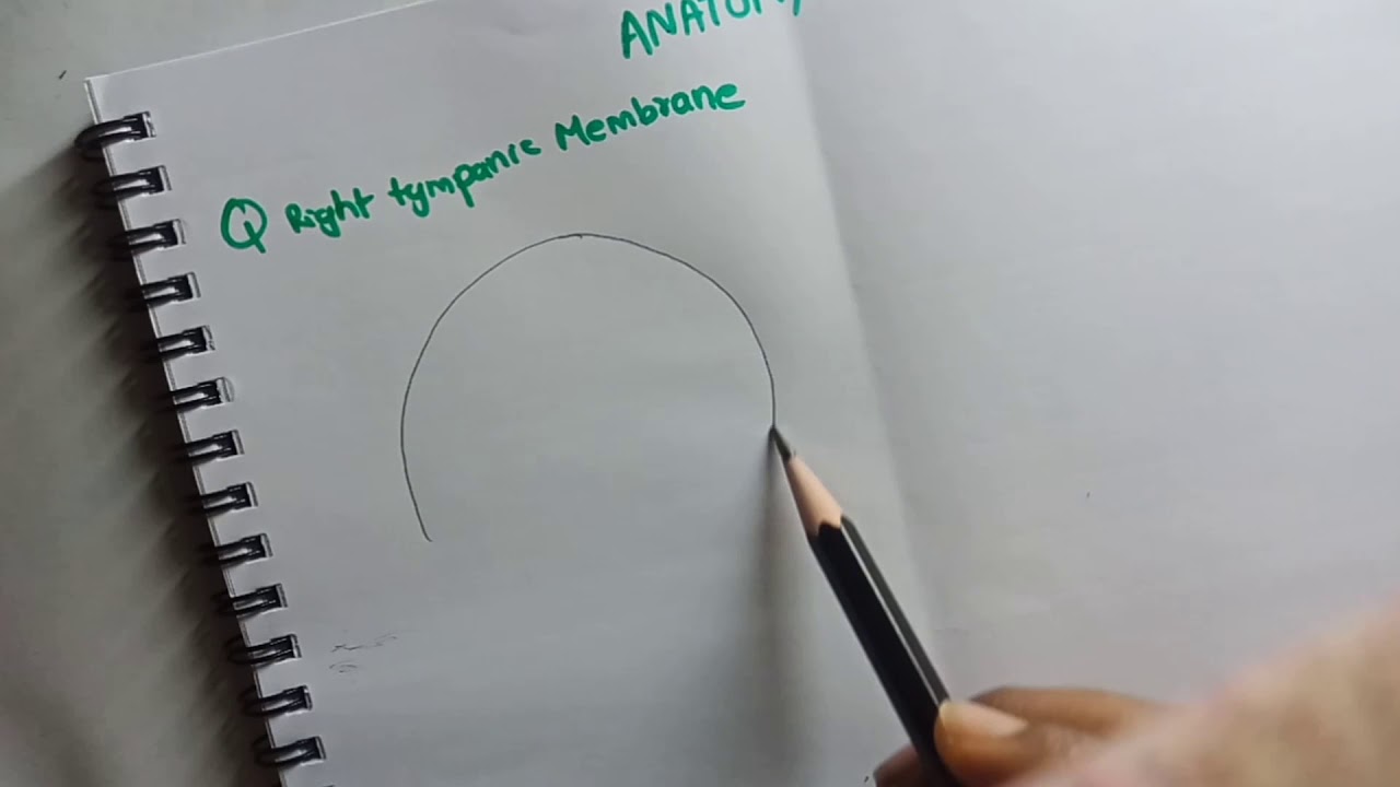 Tympanic membrane, ENT previous year question,  KUHS