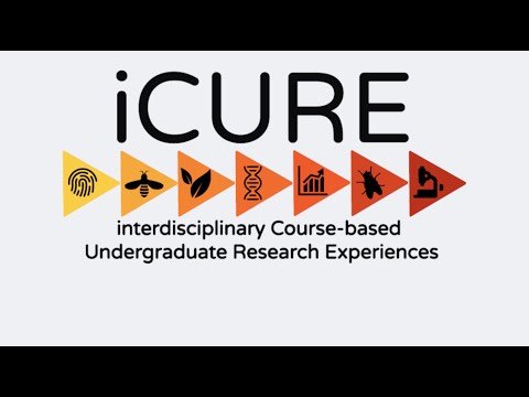 ASU Summer 2021 iCURE Workshop - Trailer