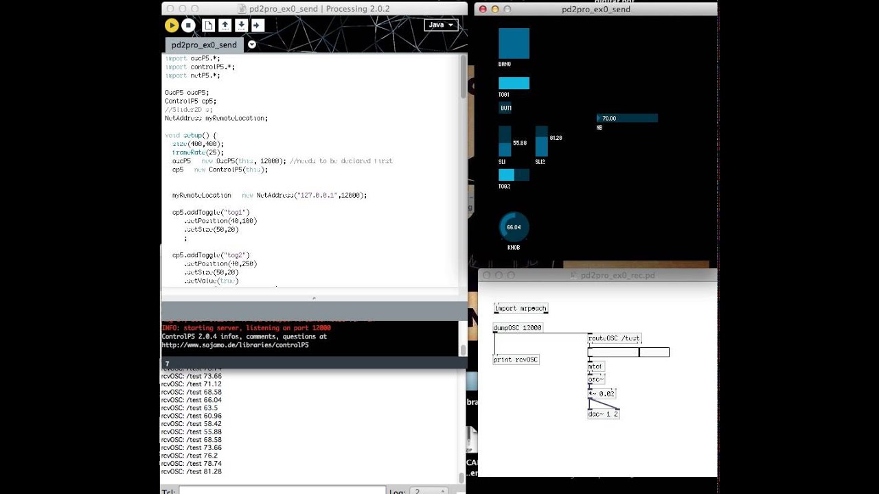 ControlP5 (Processing) and Pure Data