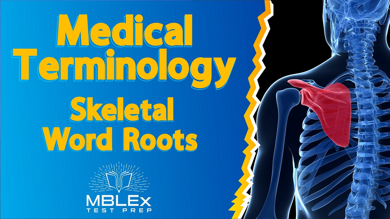 Medical Terminology - Skeletal Word Roots