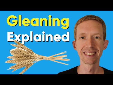 Gleaning Explained (Leviticus 19:9, Ruth 2)