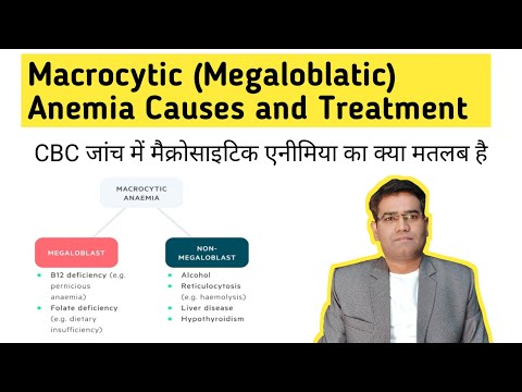 Macrocytic Anemia Causes and Treatment (in Hindi) | Megaloblatic anemia