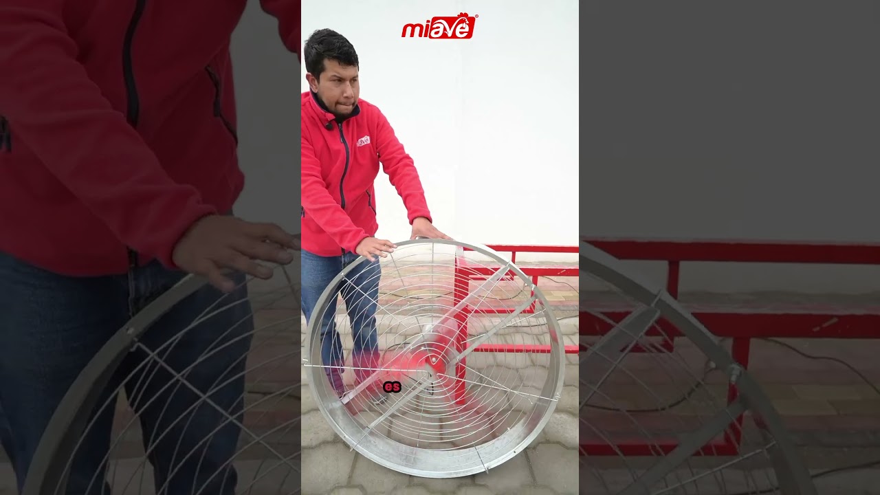 Respondiendo Preguntas sobre los ventiladores en galpones de Gallinas de Postura