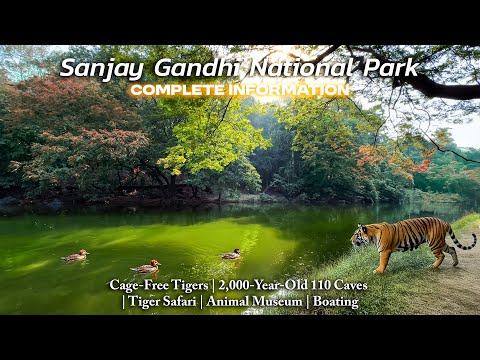 Sanjay Gandhi National Park is NOT What You THINK | Complete SGNP Guide 2024 |Borivali National Park