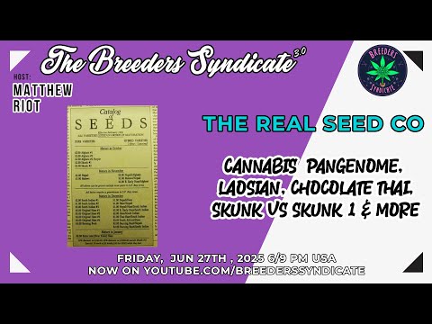 Angus from The Real Seed Co -Skunk Vs Skunk 1, Catalogs, Chocolate Thai, Cannabis Pangenome & more