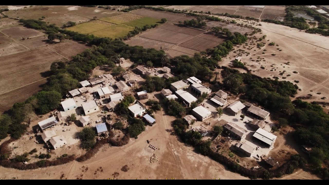 DELTA BLUE CARBON   Protecting Pakistan’s Mangroves for Climate, Community, and Biodiversity   Verra