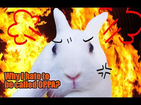 Word unscrambler; Oppa meaning in Korea (ENG/KOR/JPN subtitles)