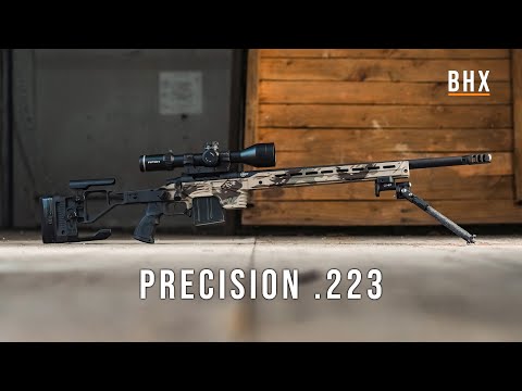 Precision .223 Rifle - Overview