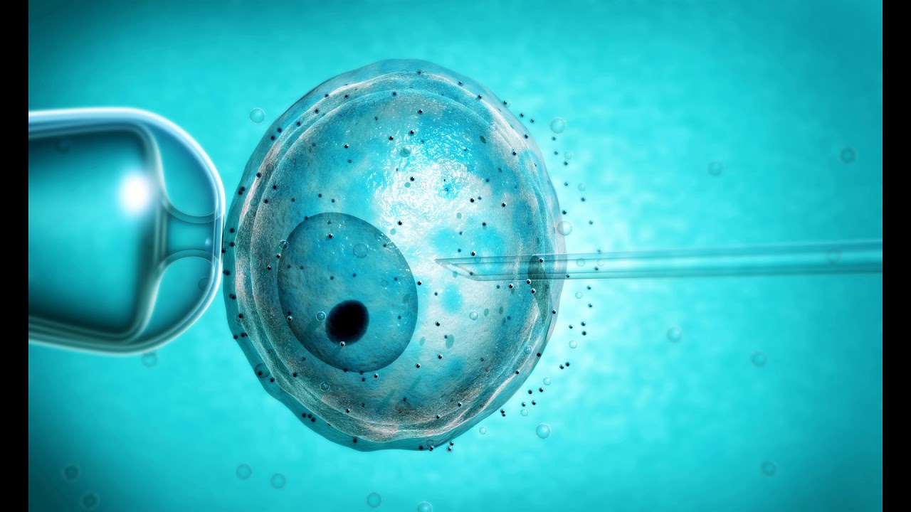 The First Ever CRISPR-Edited Human Embryo - Dr. Shoukhrat Mitalipov