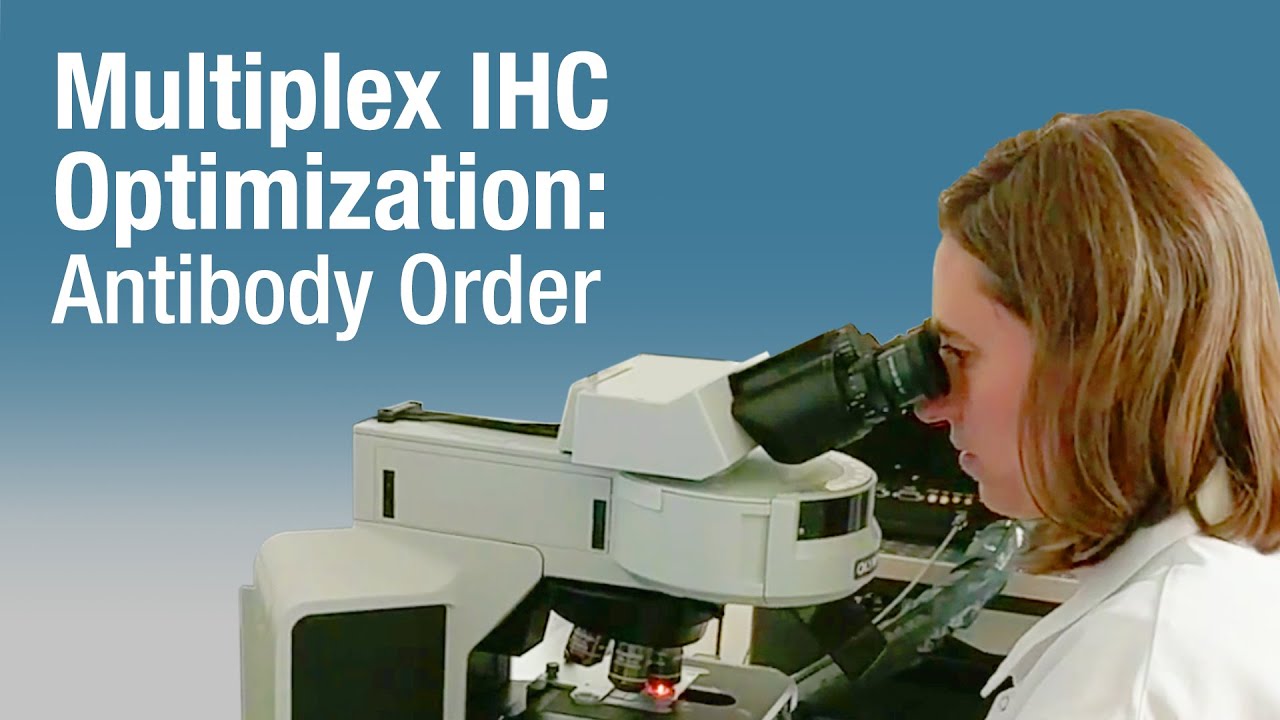 Multiplex IHC Optimization: Antibody Order | CST Tech Tips