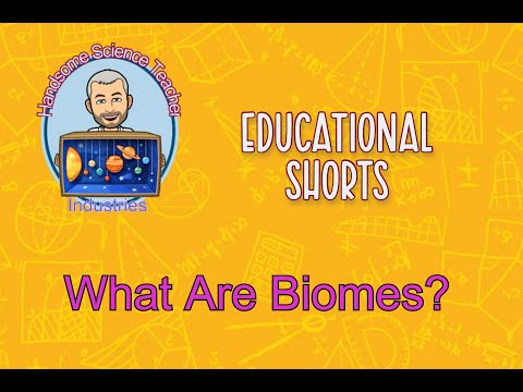 What are biomes?