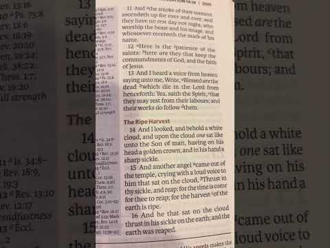 Revelation 14: 9-13