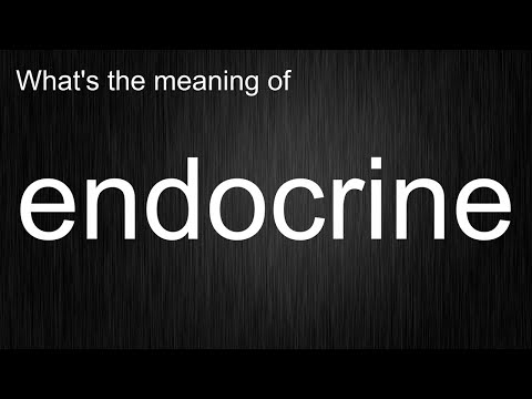 What's the meaning of "endocrine", How to pronounce endocrine?