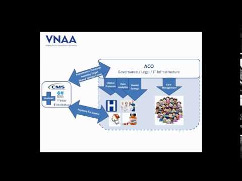 What is an Accountable Care Organization (ACO)?