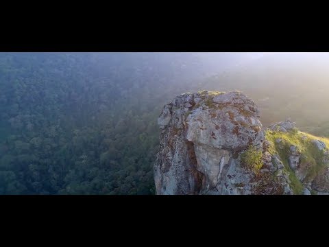 Gashaka Gumti National Park, Taraba, Nigeria - African Nature Investors Documentary