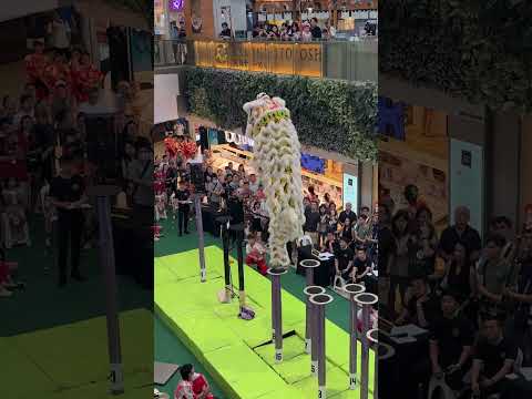 Singapore Shui Lian Gong Dragon & Lion Dance Troupe 首届利达广场新马南狮高桩锦标赛