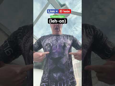 Learn Spanish - #shorts - LION in Spanish - #Youtubeshorts - Spanish Lessons