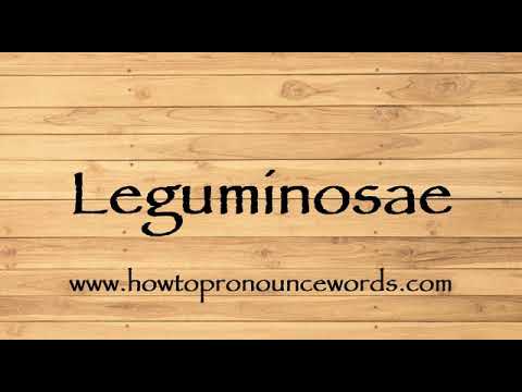How To Pronounce Leguminosae ? How To say Leguminosae New Video