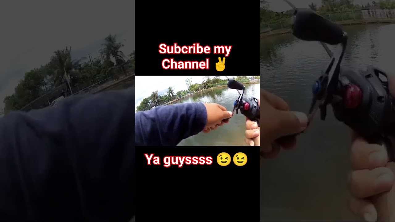 casting strike siakap #shimano  #shorts #casting