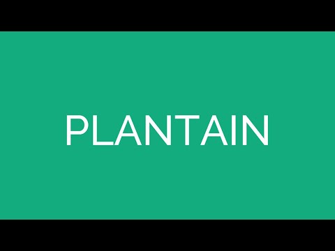 How To Pronounce Plantain