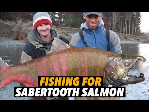 Fishing for Giant Sabertooth Salmon!