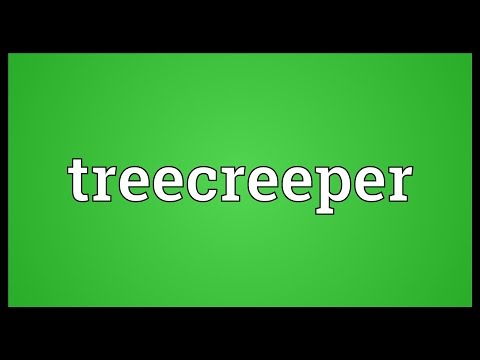 Treecreeper Meaning