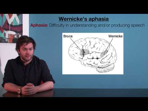VCE Psychology - Wernicke's Aphasia