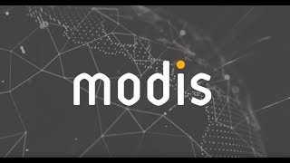 Working At Modis: Company Overview and Culture - Zippia
