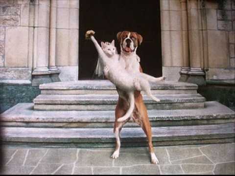 Funny Animal Pics!!!!