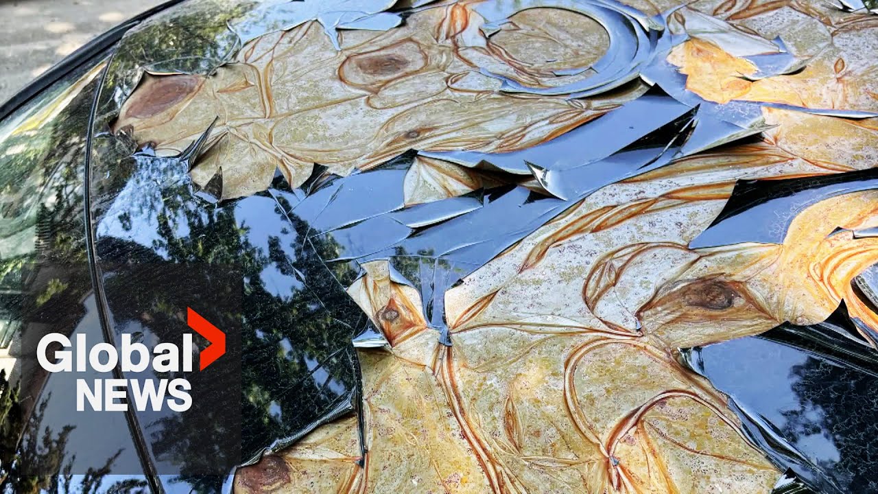 Ram 1500 Owner Is in Shock: The Paint on His Six-Year-Old Pickup Truck ...
