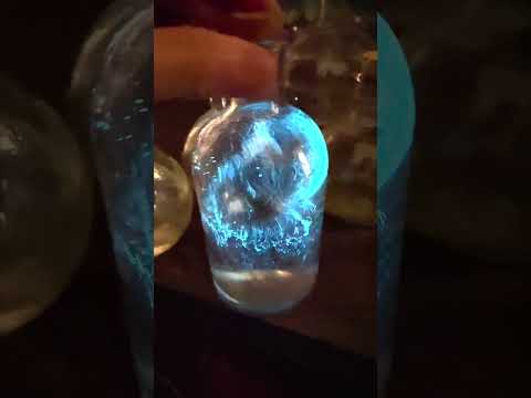 DIY bioluminescent vase - grow your own glowing plant plankton with only daily light