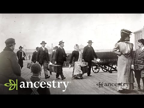 Albert Donner | U.S. Immigrant Oral Histories | Ancestry