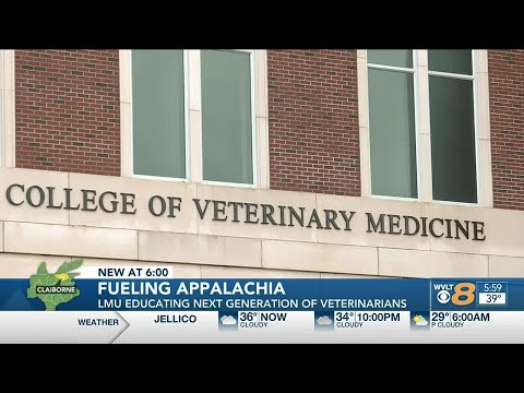 Largest veterinarian school in America works to fill critical void from TN home